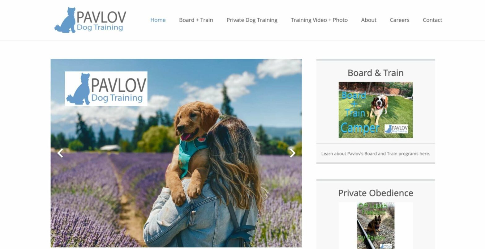 The 6 Best Dog Training Services in Portland [2025 ]