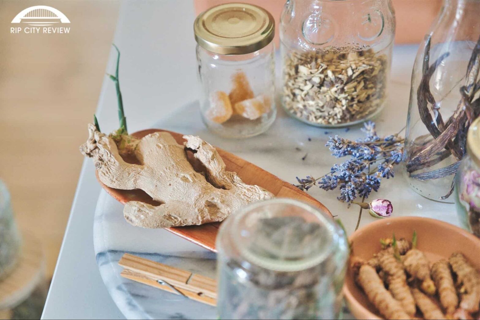 The 5 Best Naturopathic Doctors in Portland [2026]