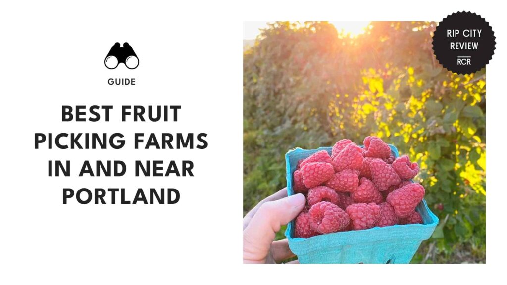 Top 10 U-Pick Farms in and around Portland for the Fam! [2025 ]