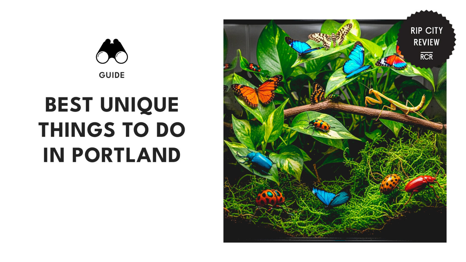 10 Unique Things to Do in Portland You’ll Always Remember [2026]
